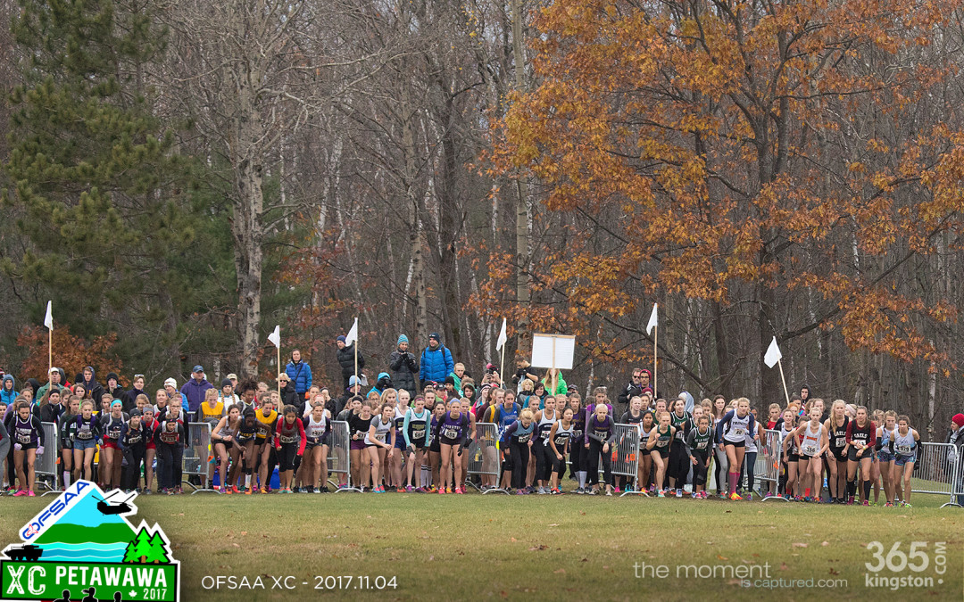 OFSAA Cross Country XC 2017 | the moment is captured photography