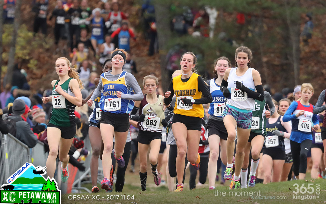 OFSAA Cross Country XC 2017 | the moment is captured photography